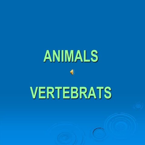 Animals m. p. | PPTX
