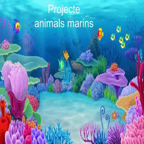 Projecte Animals Marins | PPT
