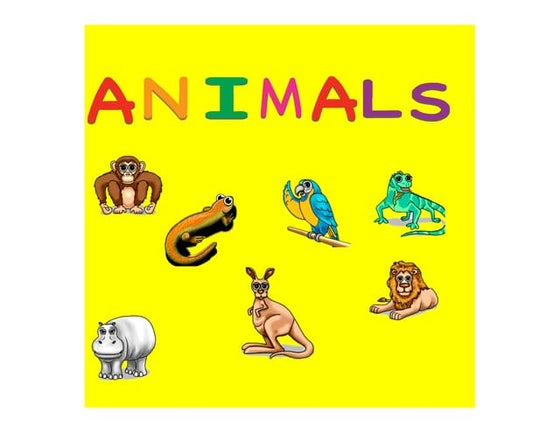 Animals | PPTX