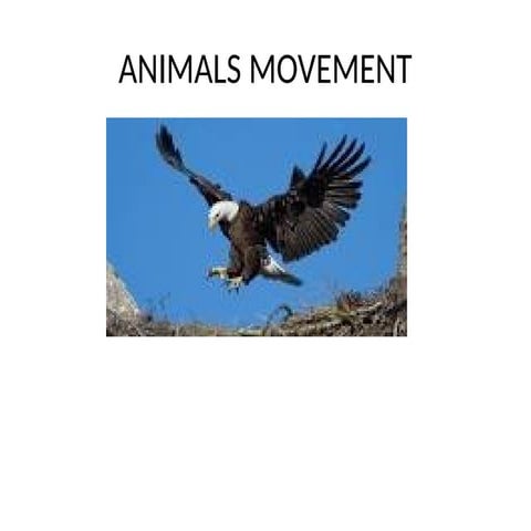 ANIMALS MOVEMENT FOR CHILDREN IN LOWER PRIMARY | PPTX