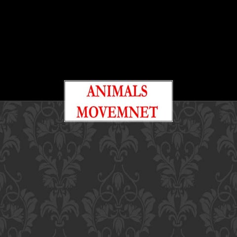 Animals movemnet | PPT