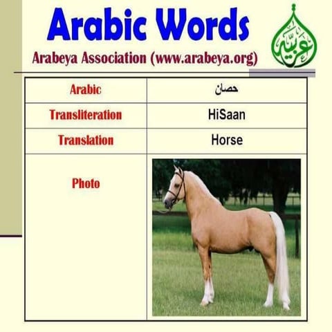 The name of animals in modern standard Arabic | PPSX