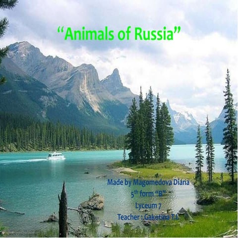 Animals of Russia | PPTX