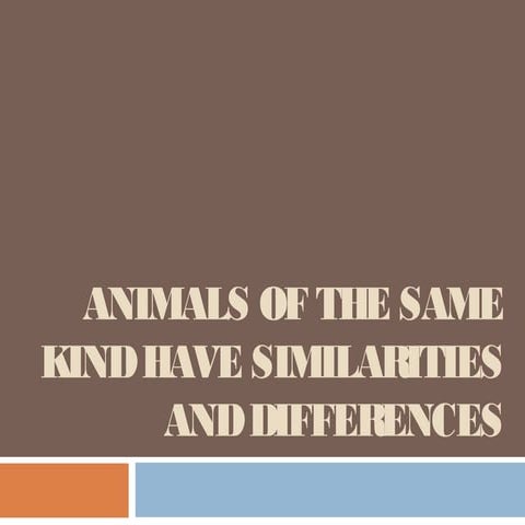Life Cycles of Humans and Animals Presentation.pptx