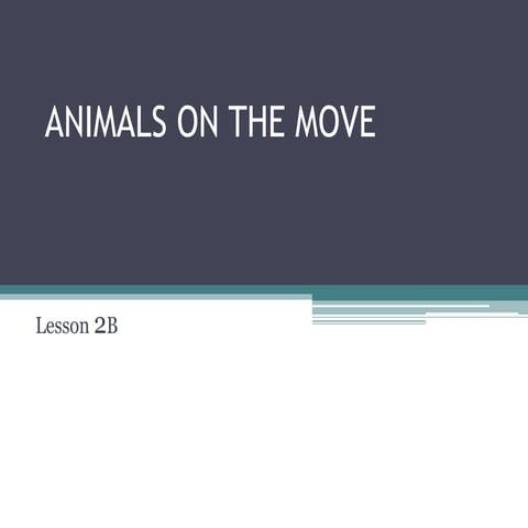Animals on the move | PPT