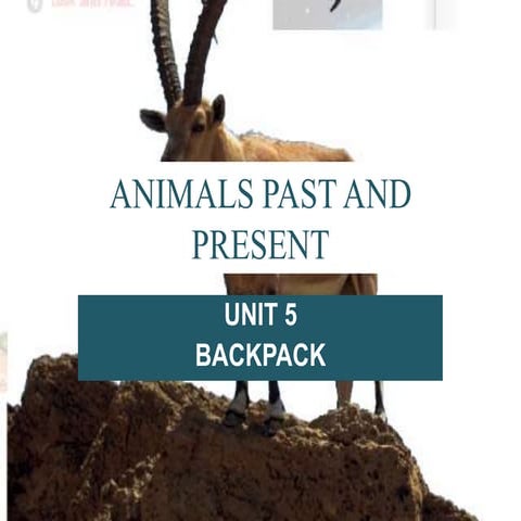 Animals past and present | PPTX