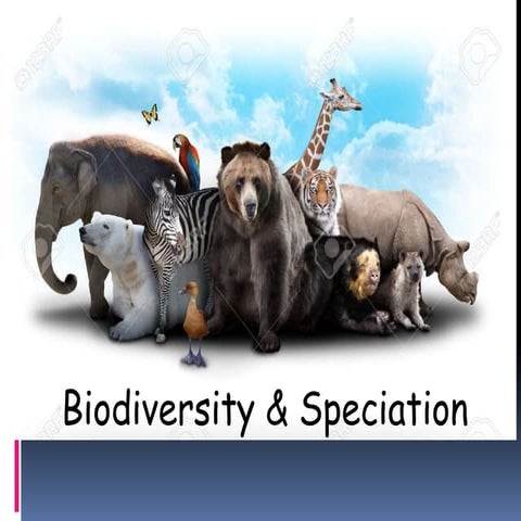 Animal species in the Rainforests Philippines biodiversity and ...
