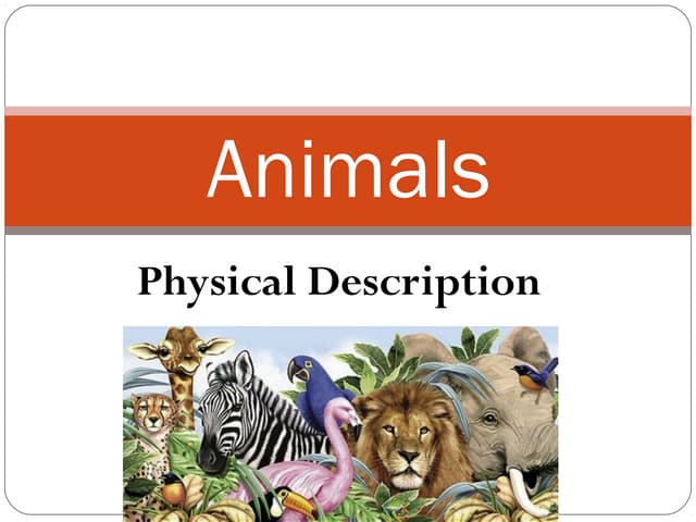 Describing animals | PPTX | Zoos & Aquariums | Attractions