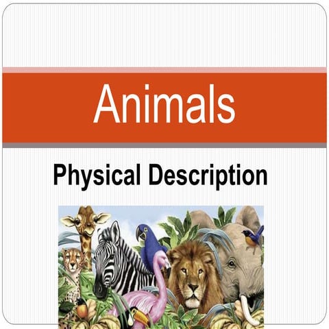 Animals physical description | PPT