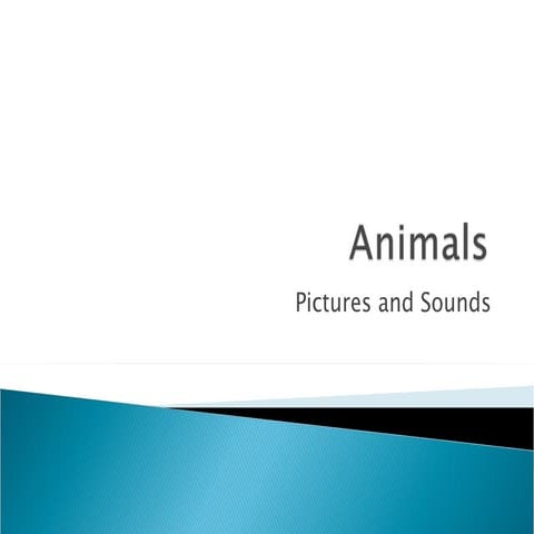 Animals Pictures And Sounds | PPT