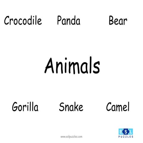 Animals PPT quiz for begginer students esl | PPTX