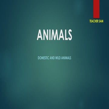 ANIMALS Presentation for Primary Level Students | PPT
