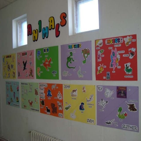 Animals project | PPT