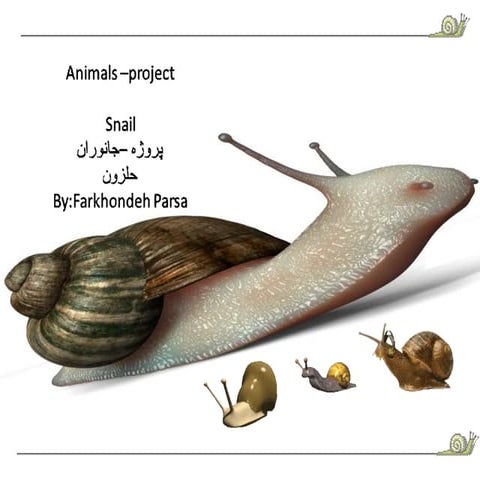Animals –project snail | PPTX