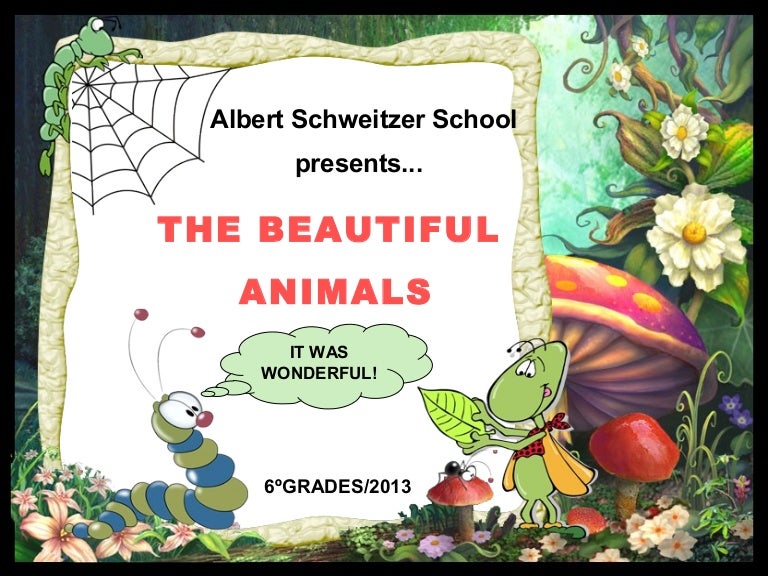 Animals Project 2013