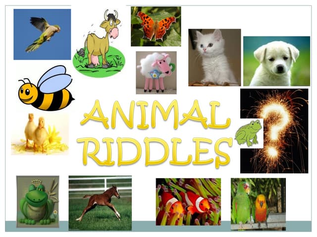 Animal Riddles | DOCX | Pets