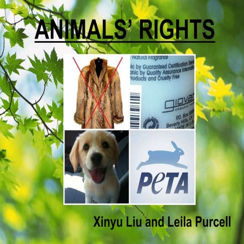 CLIL:Animals' rights | PPTX