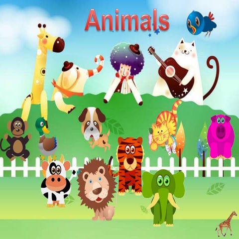 Animals show | PPSX