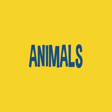 animals+slides.pdf