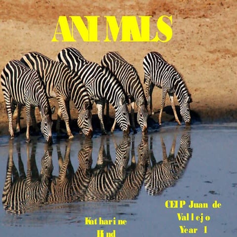 Animals Summary (Year 1) | PPT