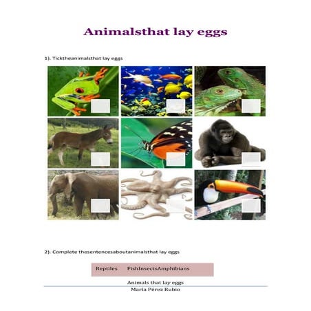 Animals that lay eggs | DOCX