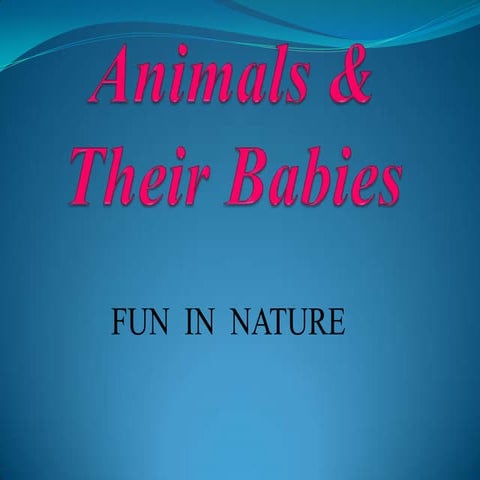 Animals & their babies | PPTX