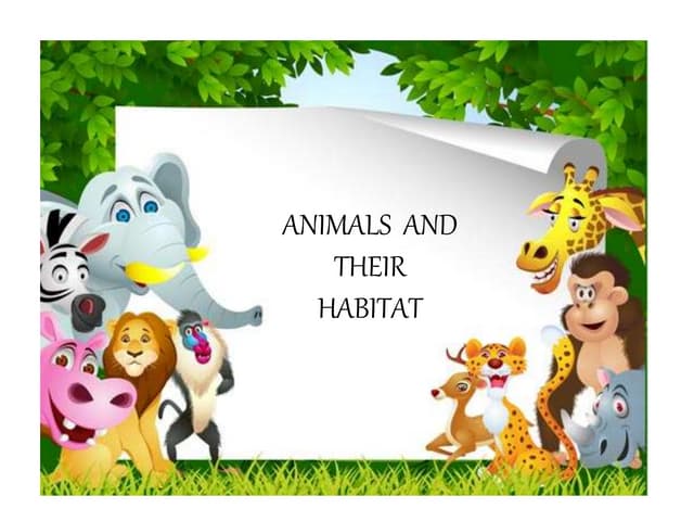 What animals need | PPTX