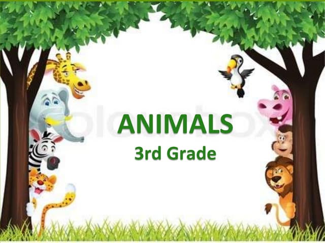 Lesson plan on classification of animals | DOC