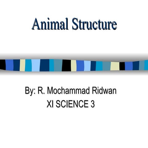 Animal structure | PPT