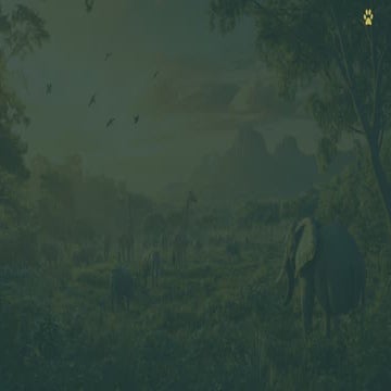 morning-routines-present-simple-lesson-powerpoint_ver_4.pptx