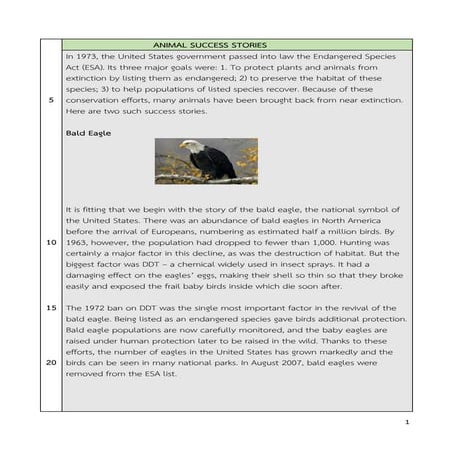 Animal success stories check | PDF