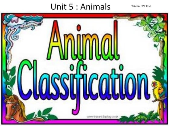 Unit 4 animals | PDF