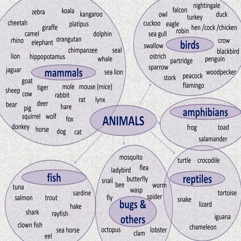 Animals vocabulary | PDF