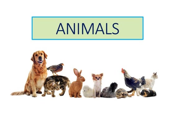 Animals vocabulary, domestic and wild animals | PPT
