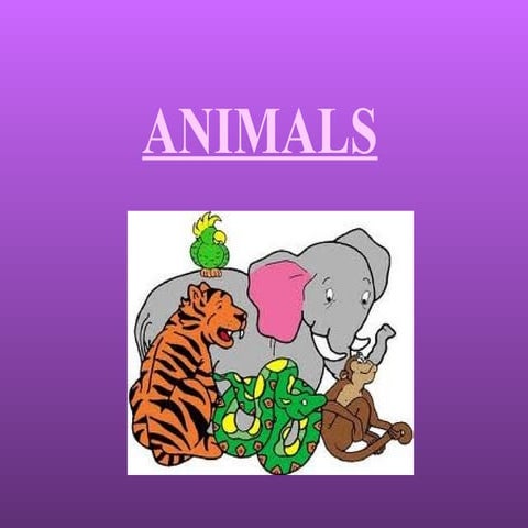 Animals web | PPT