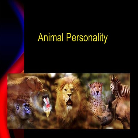 Animal Personality | PPS