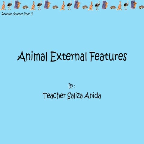 Animals year 3 | PPT