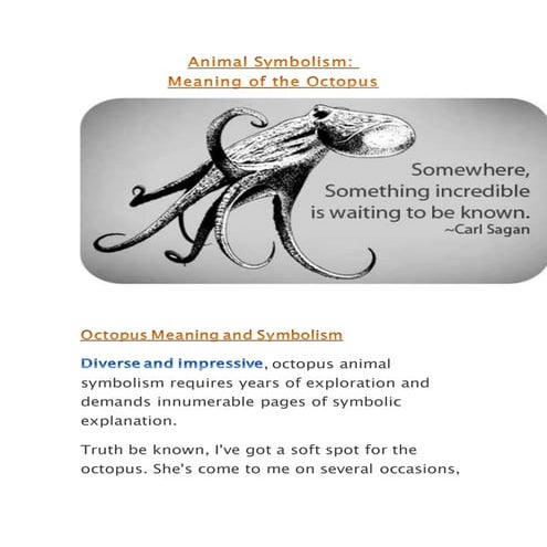 Octopus Meaning