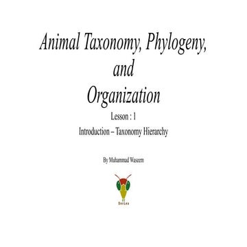 Animal Taxonomy, Phylogeny and Organization | PPTX