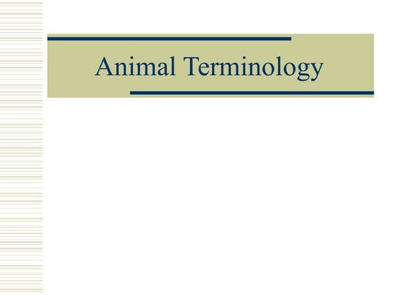 COMMON TERMS USED IN SHEEP AND GOAT | PDF