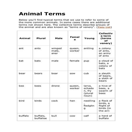 Animal terms | DOCX