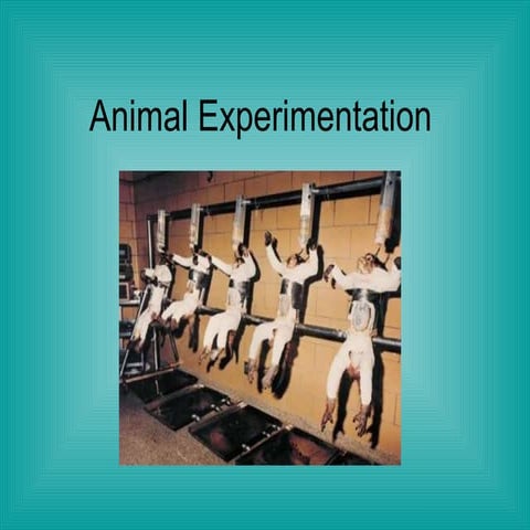 Animal Experimentation | PPT