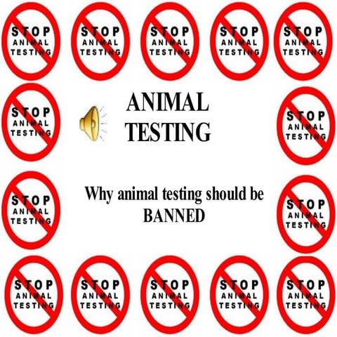 Animal Testing | PPT