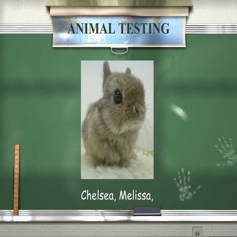 Animal Testing Powerpoint | PPT