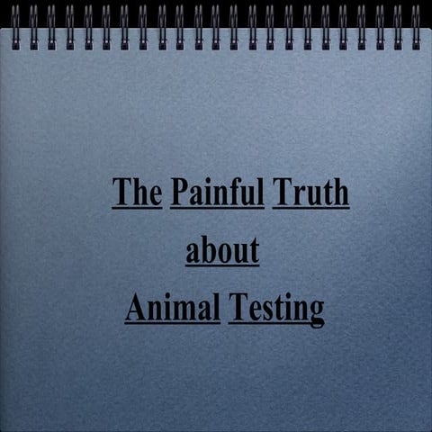 Animal testing | PPTX