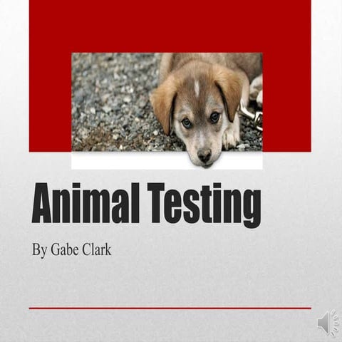 Animal testing | PPT