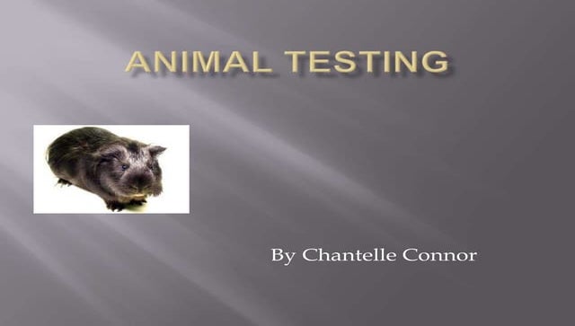 The Case Against Animal Experimentation 2 | PPT