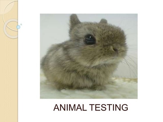Animal Testing Powerpoint | PPT | Medical Health