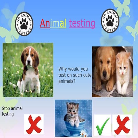 Animal testing presentation | PPTX | Pets