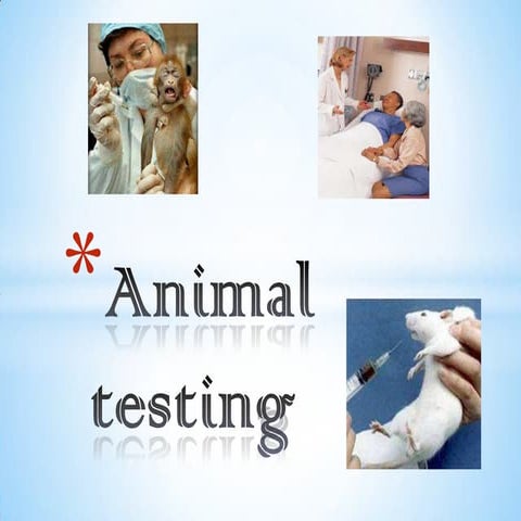 Animal testing presentation | PPTX